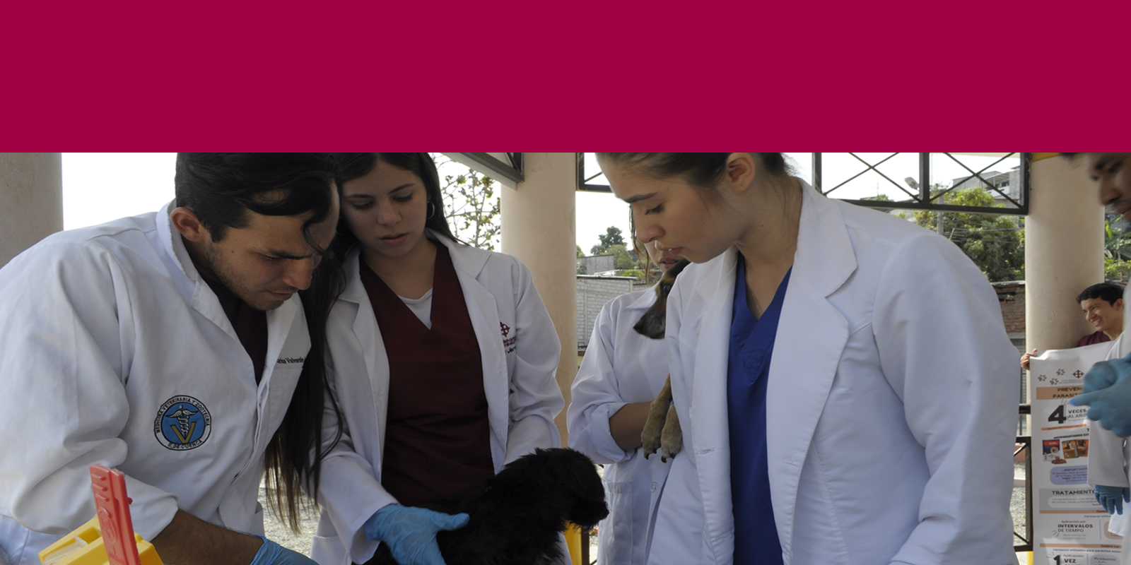 Formatos de Convenios – UCSG